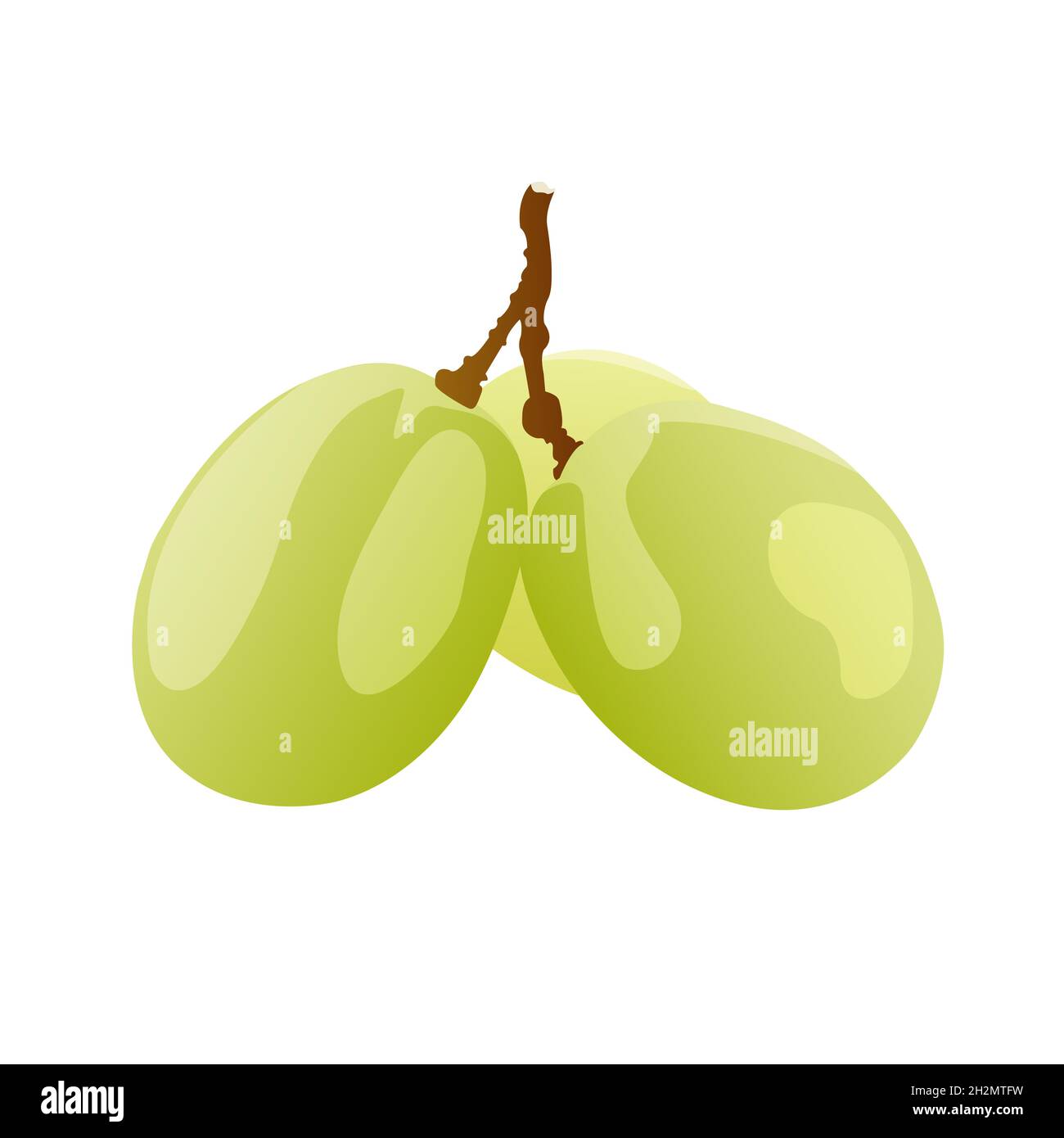 white grapes, three grapes, isolated on white background Stock Photo ...