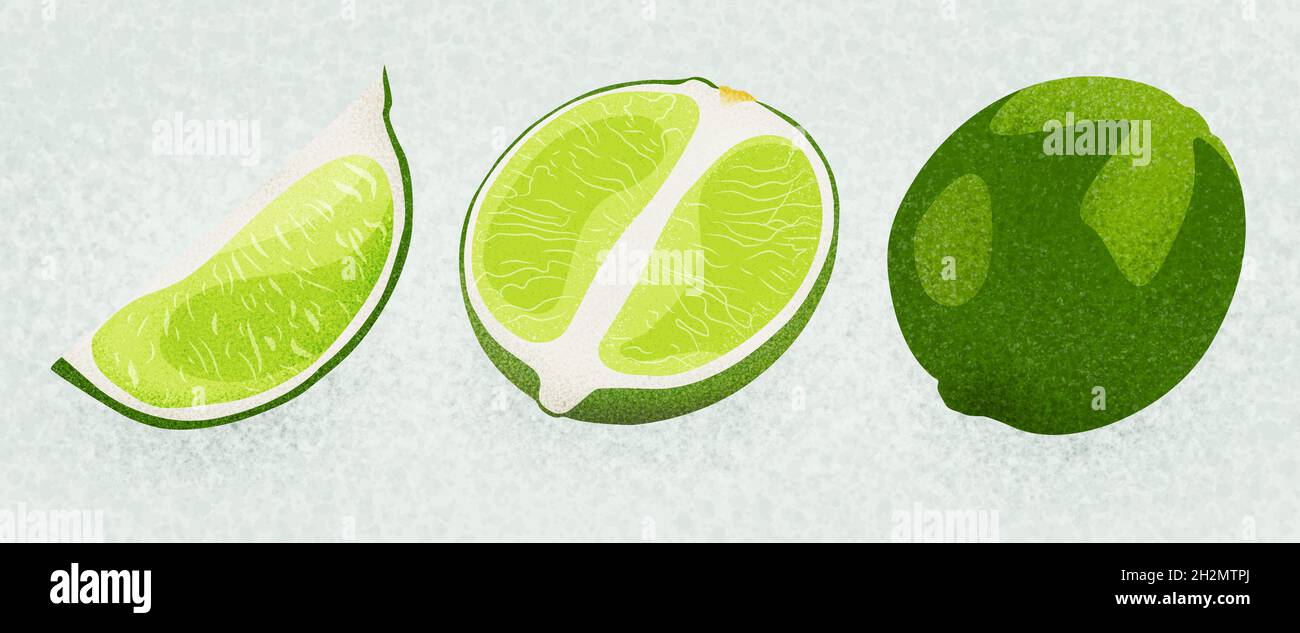 Lime isolated. Lime set: slice, piece, half, quarter, part, segment ...