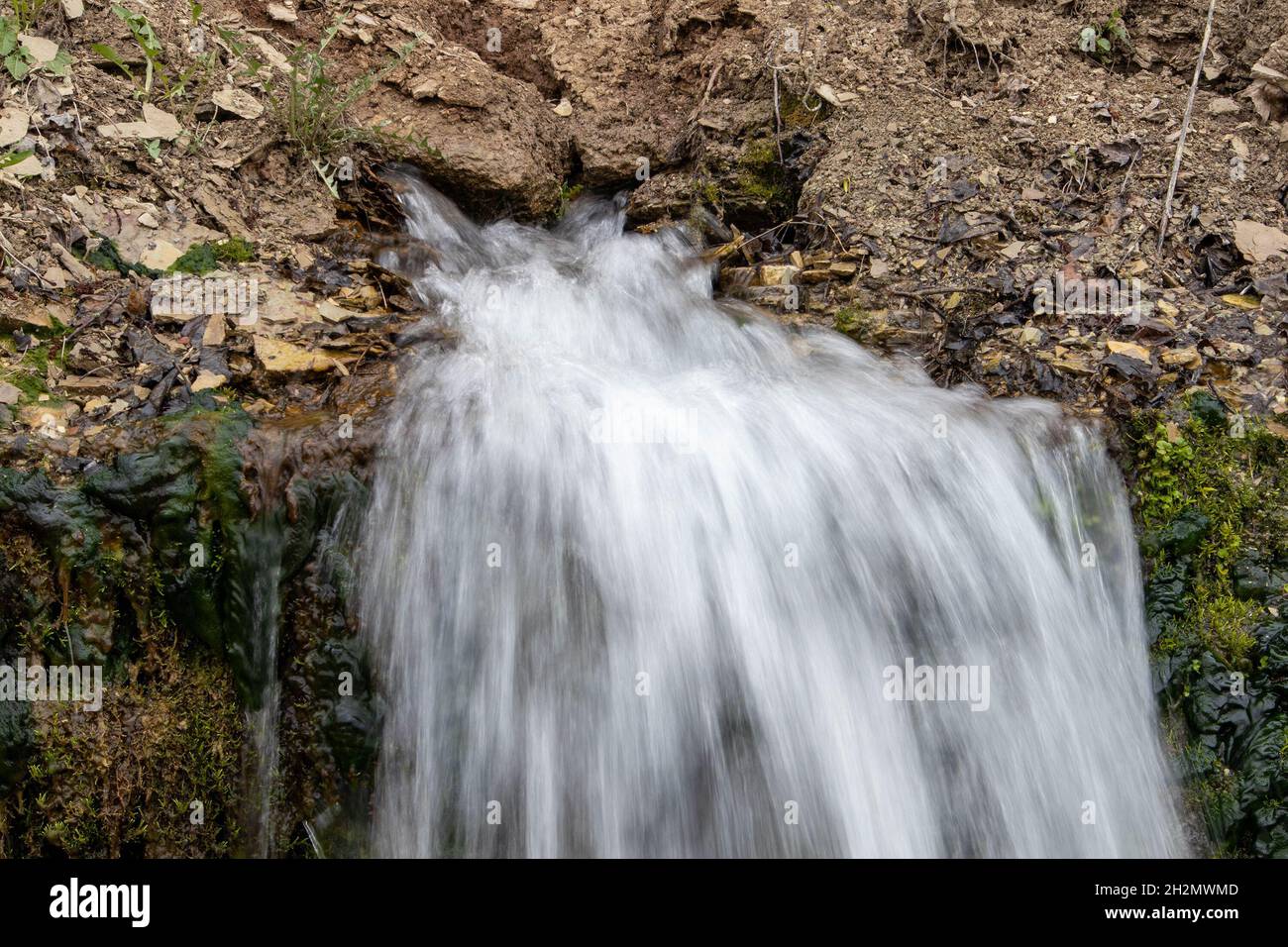 Millennial cold forest creek, little waterfalls over the rocks with ...