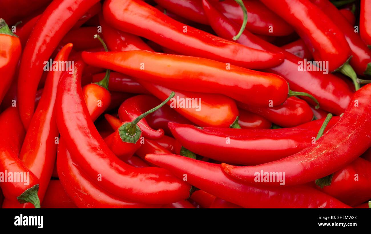Long Red Chilli High Resolution Stock Photography and Images - Alamy