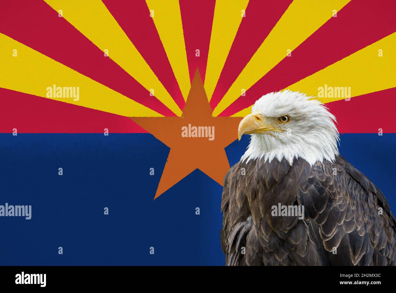 Bald eagle in front of the Arizona flag - Digital painting Stock Photo ...