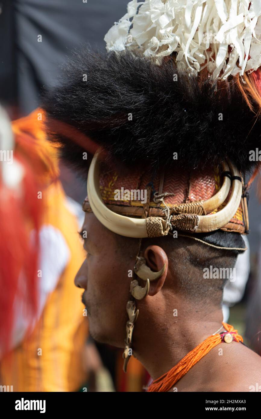 A side Portrait of a Naga tribesman dressed in traditional headgear at ...