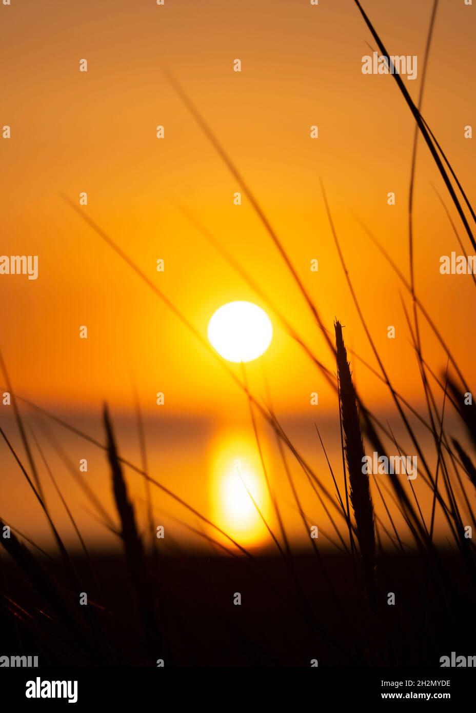 Sunset on Instow Beach - Instow, Devon, UK Stock Photo - Alamy