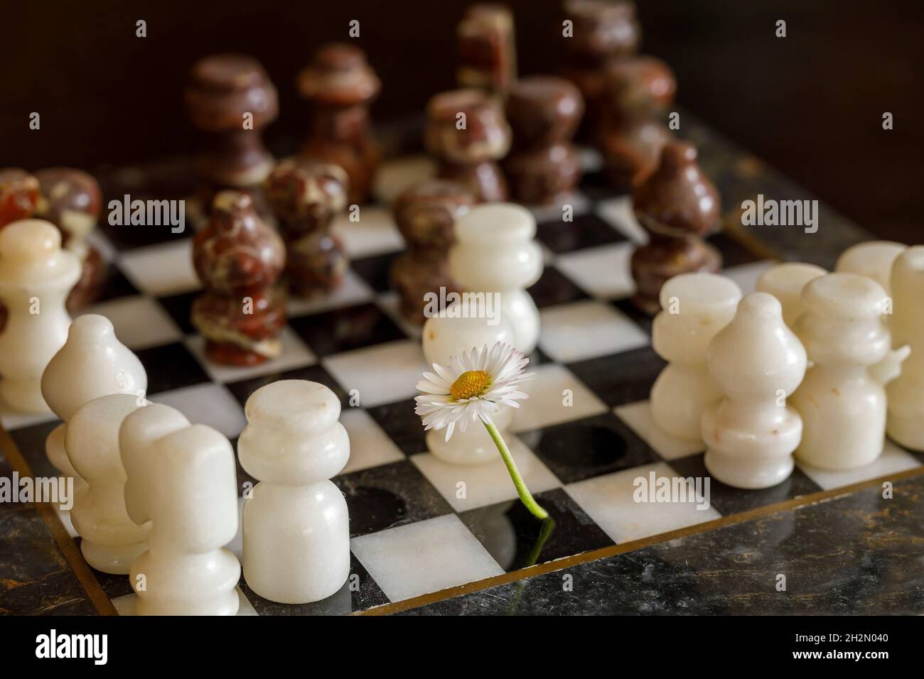 Globe chess board hi-res stock photography and images - Alamy