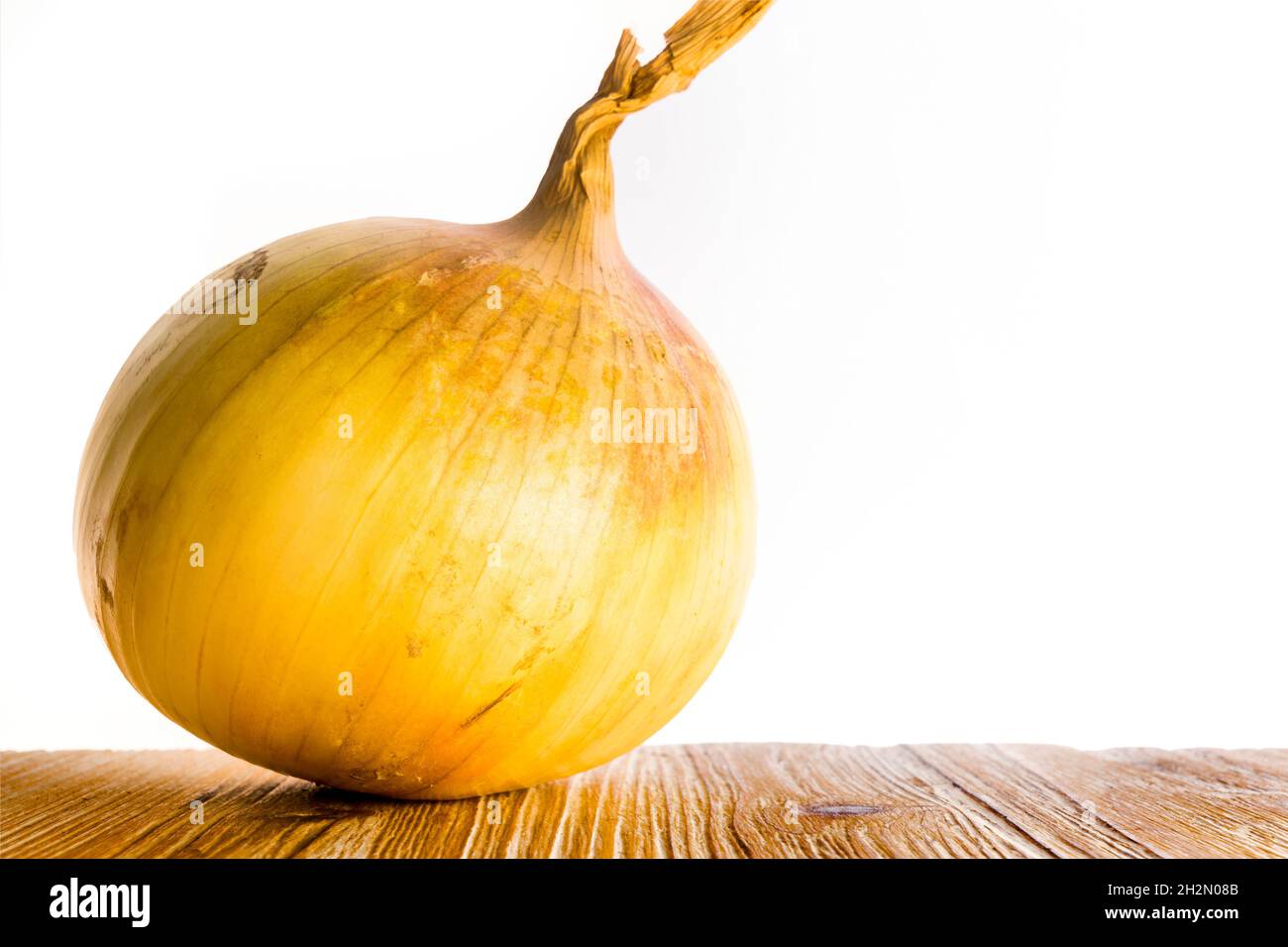 Still life of a large organically grown onion on a wood and white ...