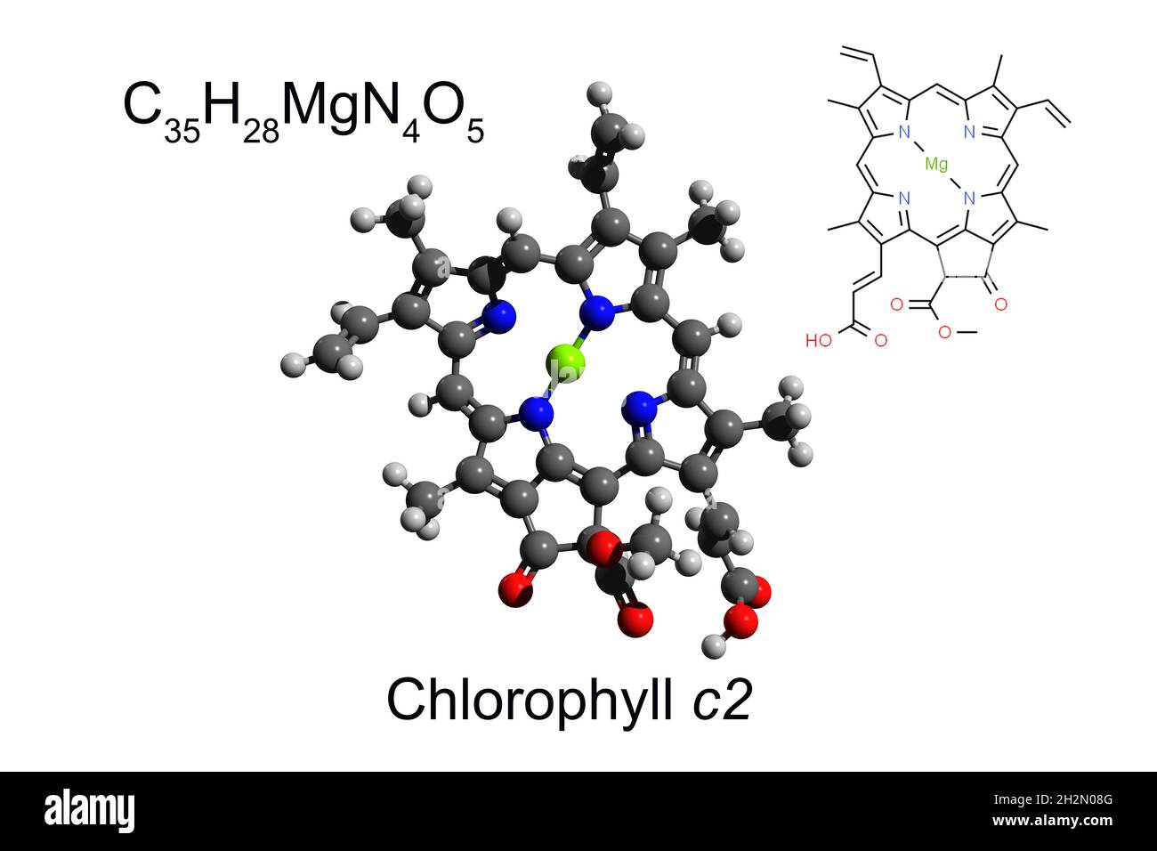 Chlorophyll 3d Structure