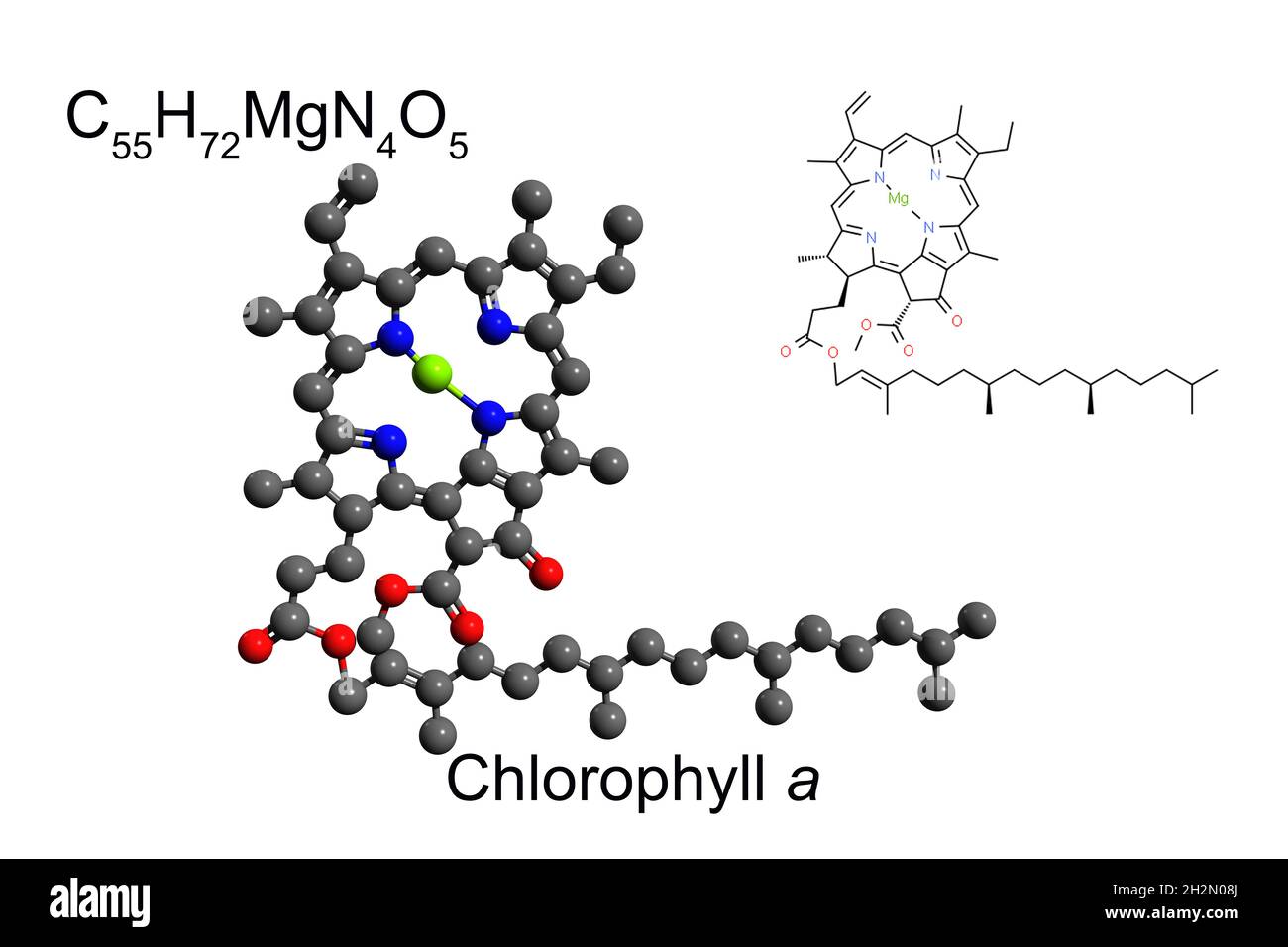 Chlorophyll Molecule Structure