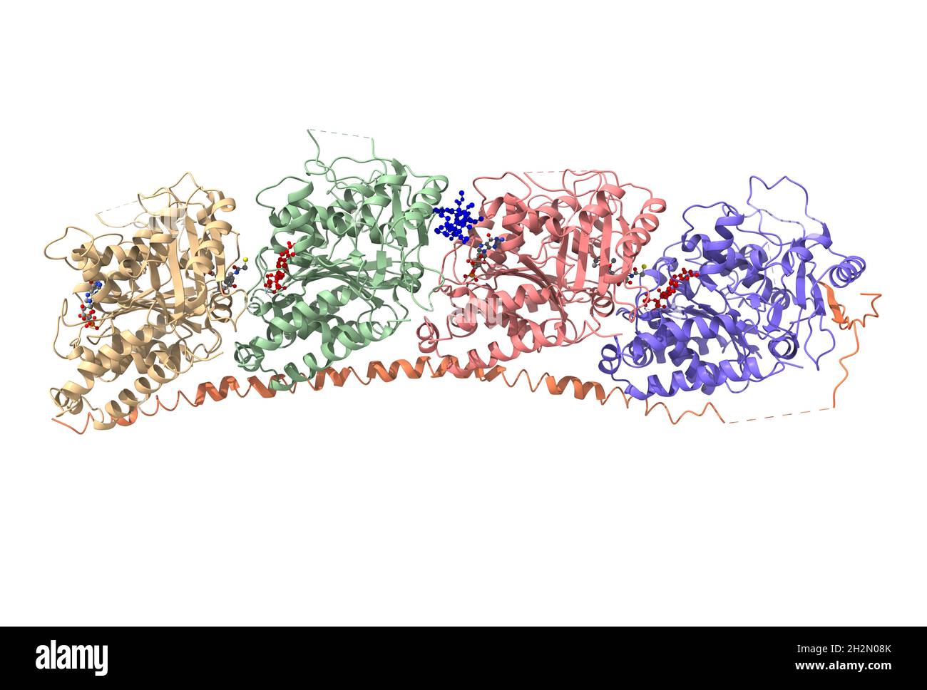 Human tubulin bound to vinblastine (blue), colchicine (red), GTP and ...