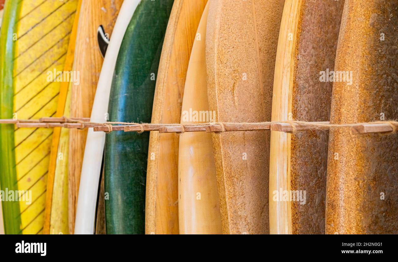 Row of retro vintage surfboards lined up in a local surf shop Stock ...