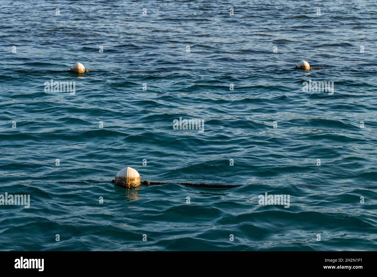 Covered boat floats hi-res stock photography and images - Alamy