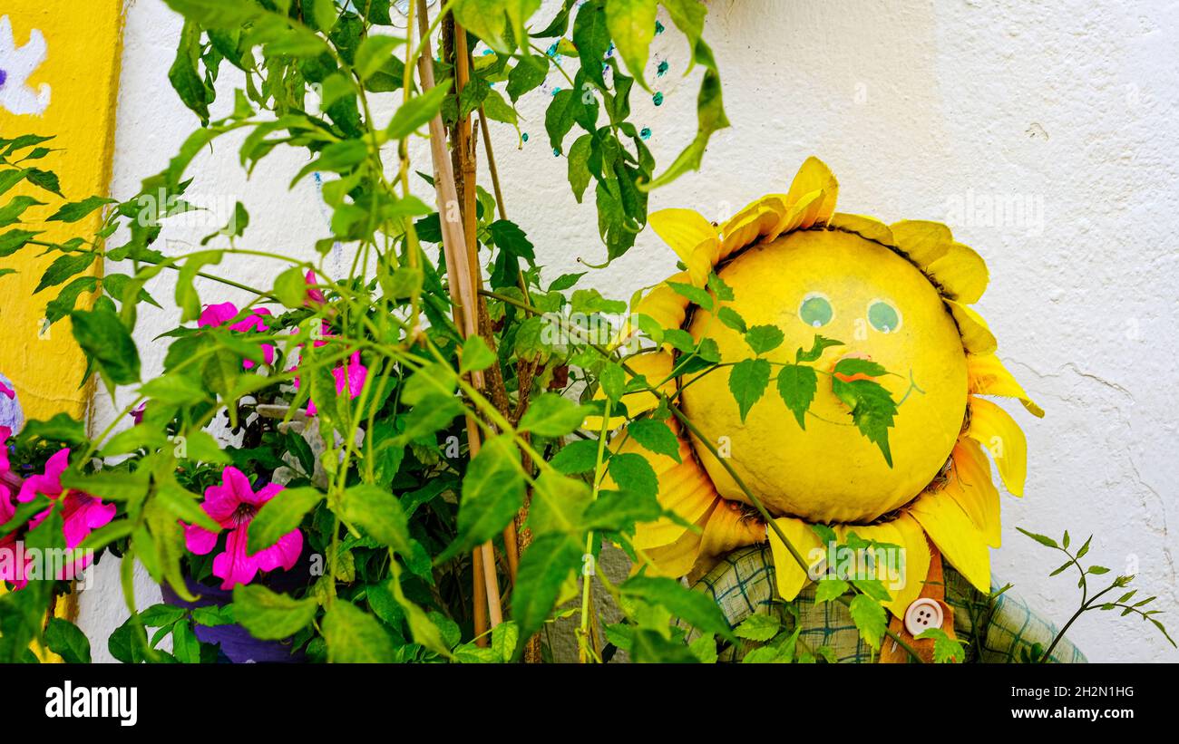 Real plants hi-res stock photography and images - Alamy