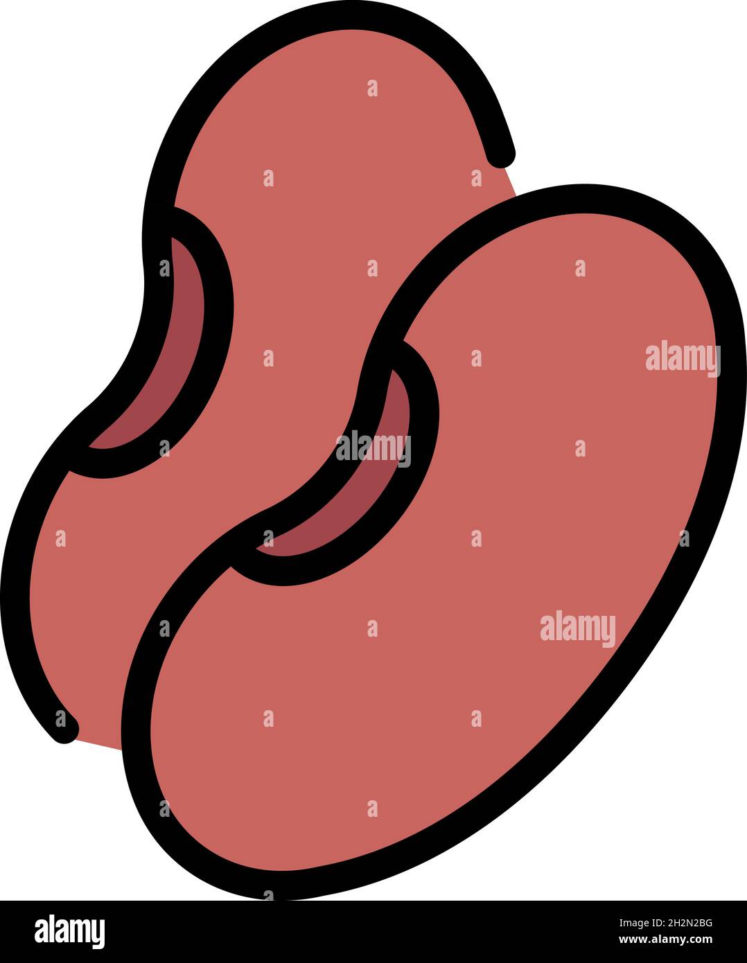 Food beans icon. Outline food beans vector icon color flat isolated ...