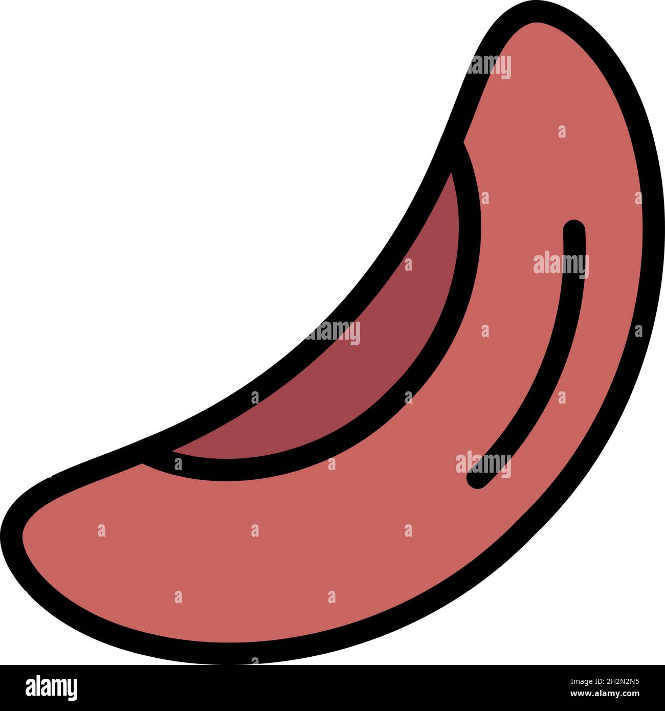 Pinto kidney bean icon. Outline pinto kidney bean vector icon color ...