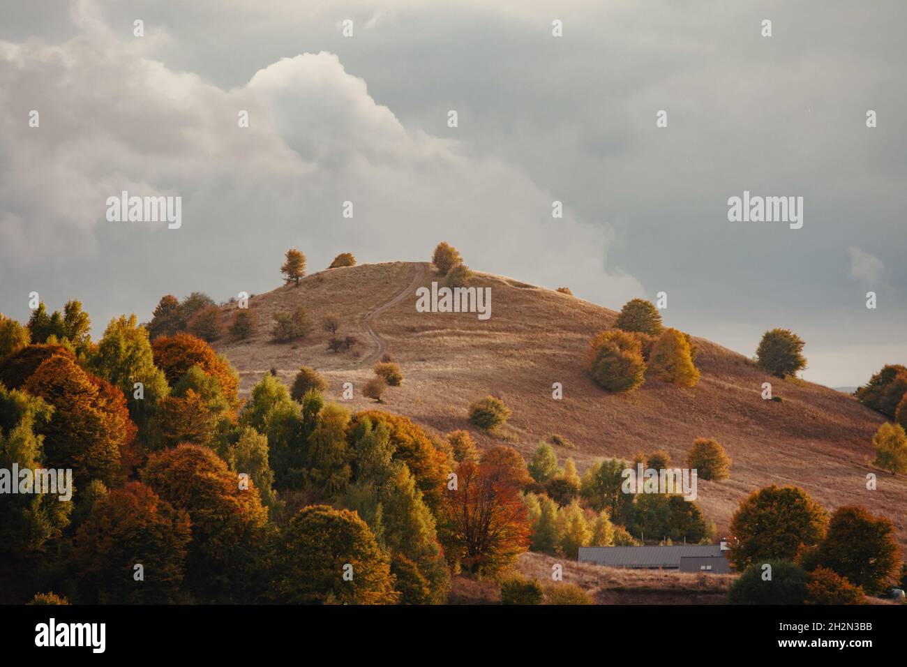 Autumn nature amazing landscape Stock Photo - Alamy