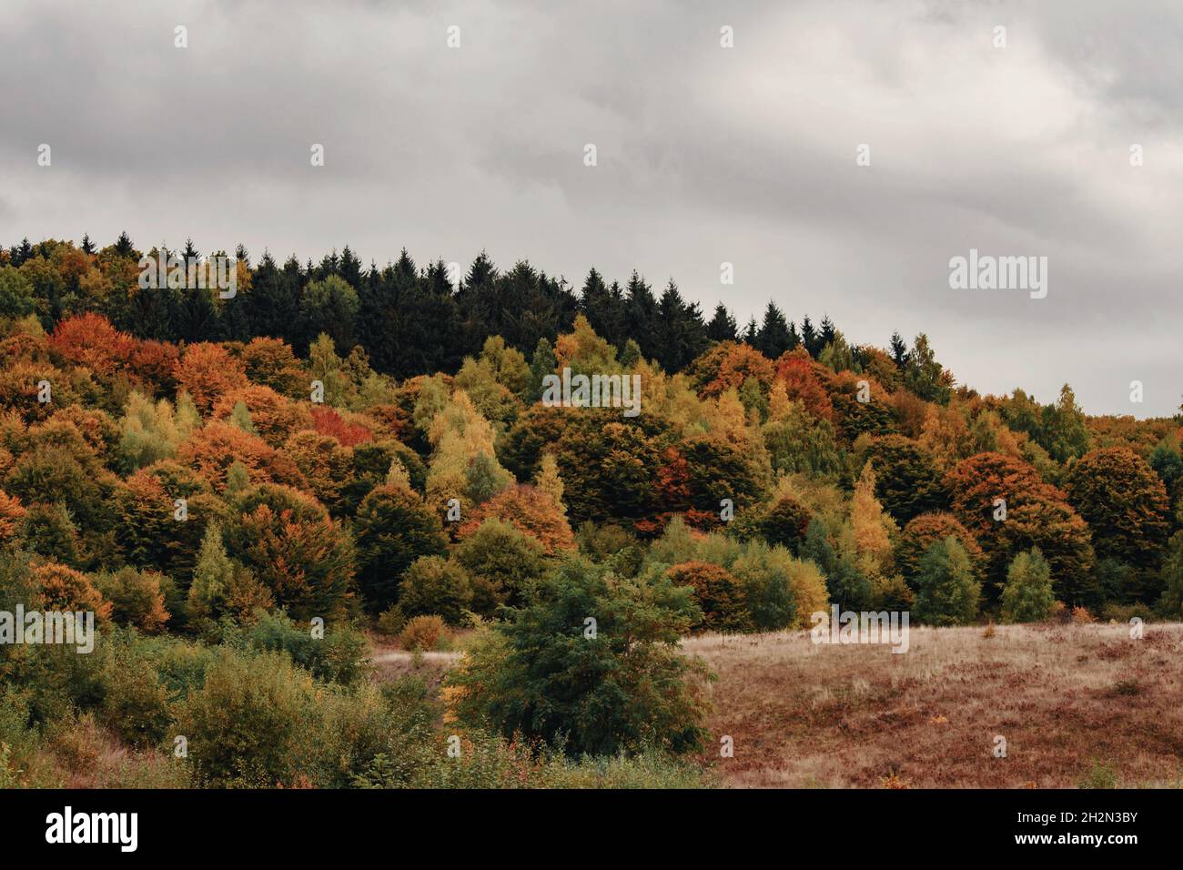 Autumn nature amazing landscape Stock Photo - Alamy
