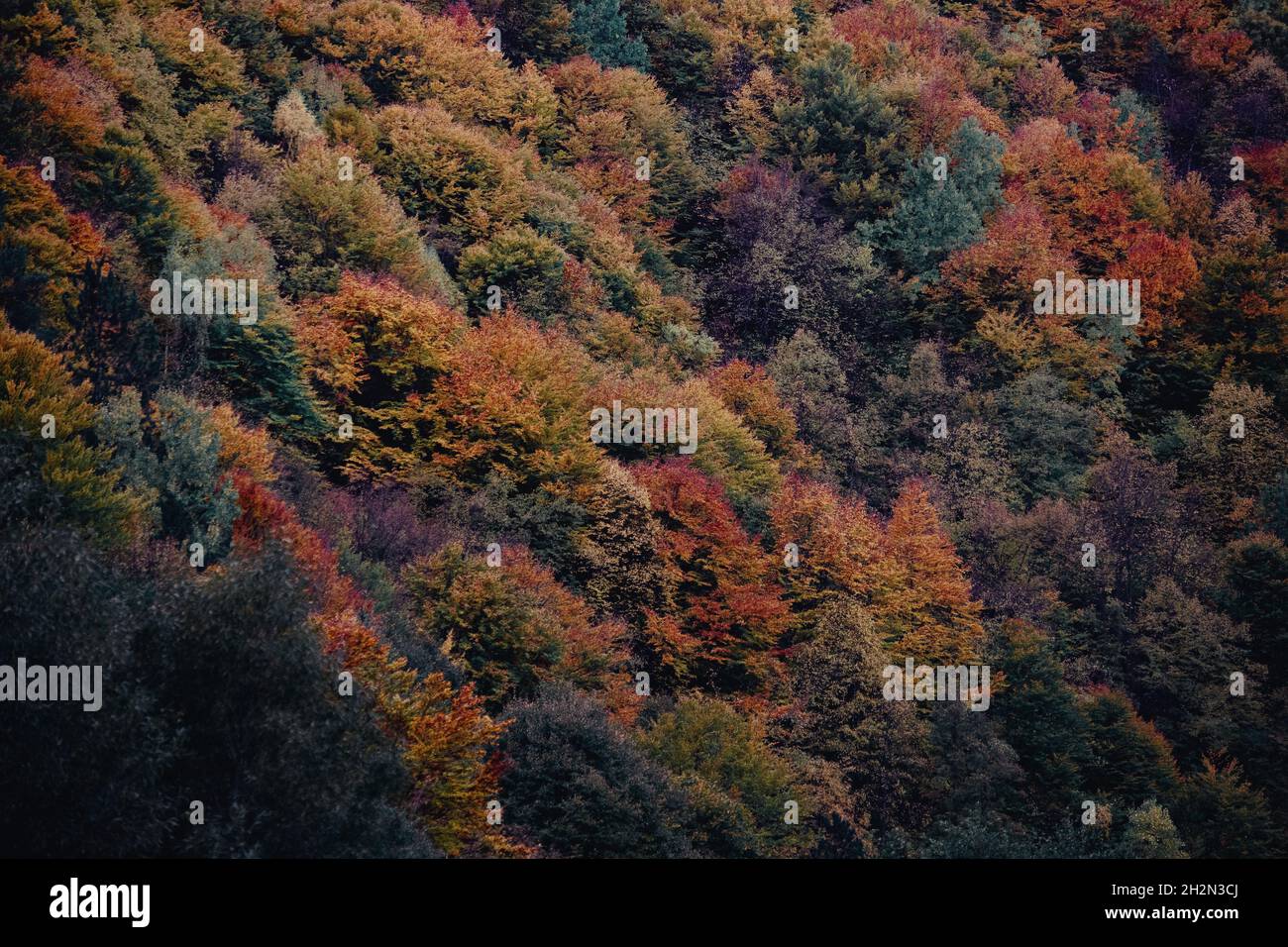 Autumn nature amazing landscape Stock Photo - Alamy