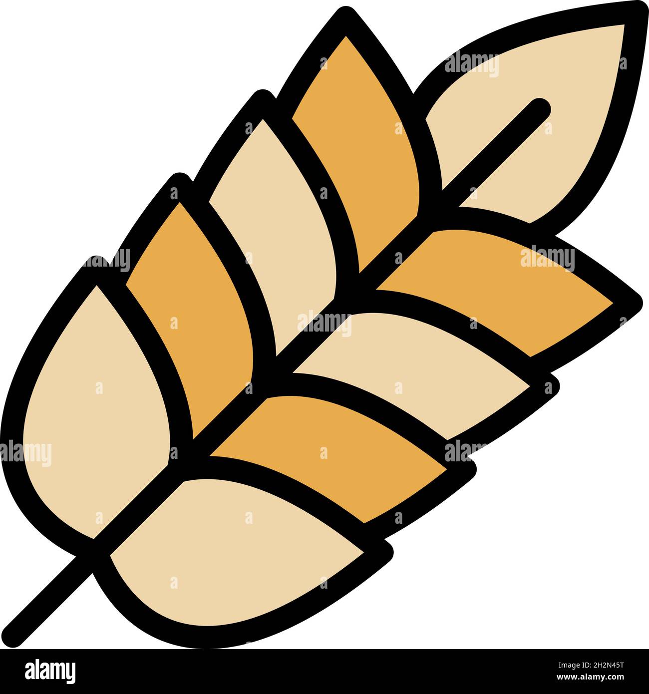Wheat plant icon. Outline wheat plant vector icon color flat isolated ...