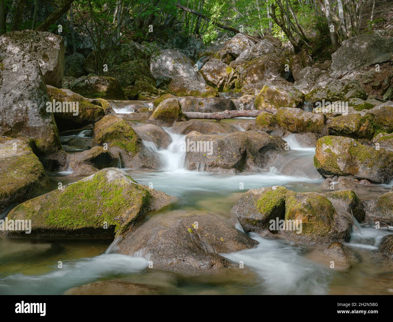 small river deep in the green woods. wonderful springtime scenery of ...