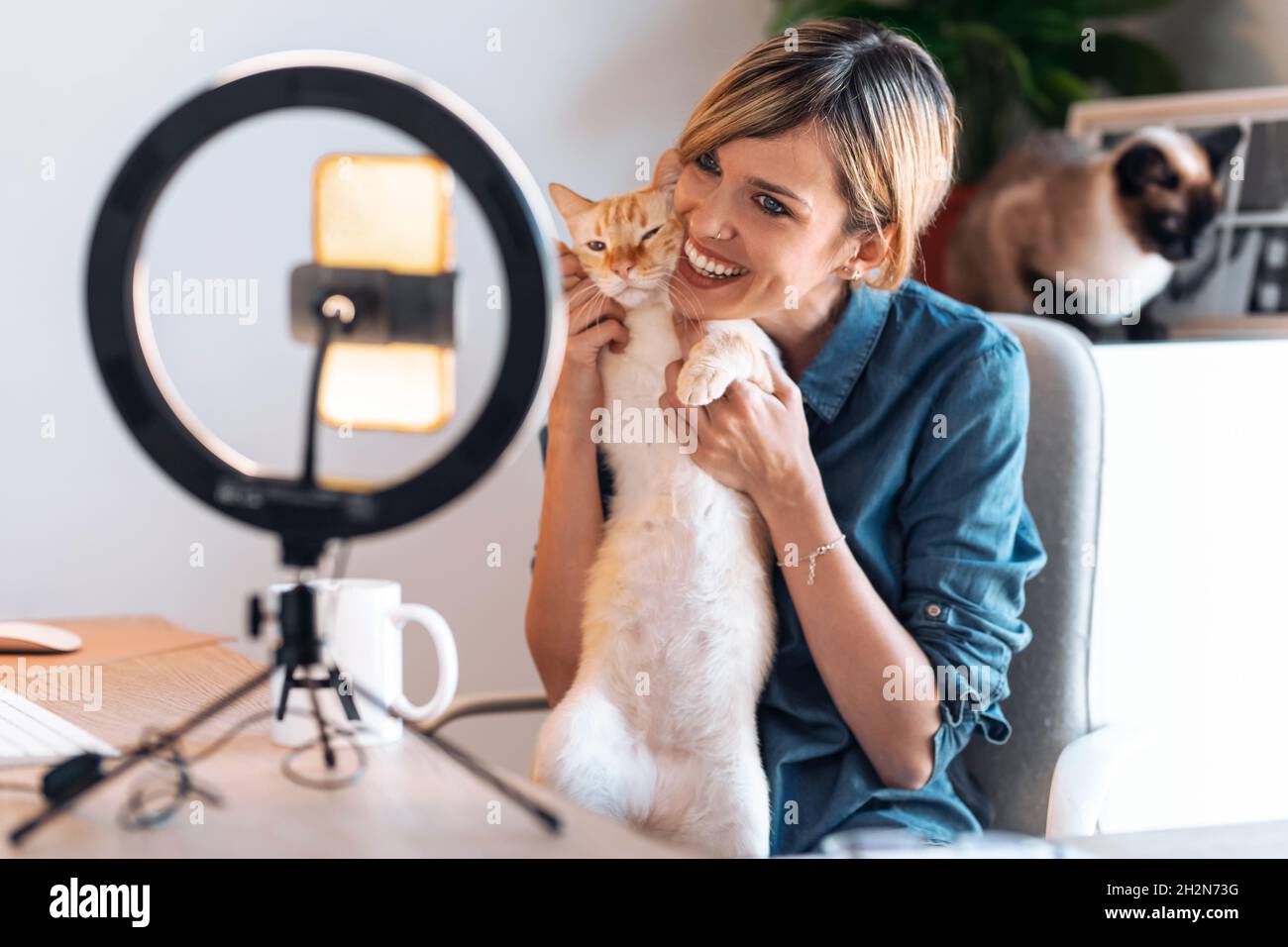 Smiling female influencer with cat vlogging at home Stock Photo - Alamy