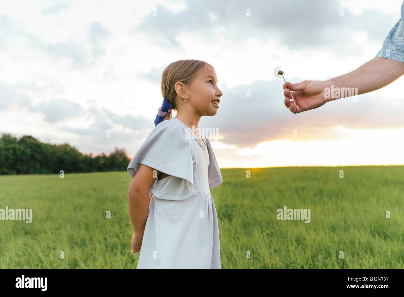 Father giving Dandelion flower to daughter at field Stock Photo - Alamy