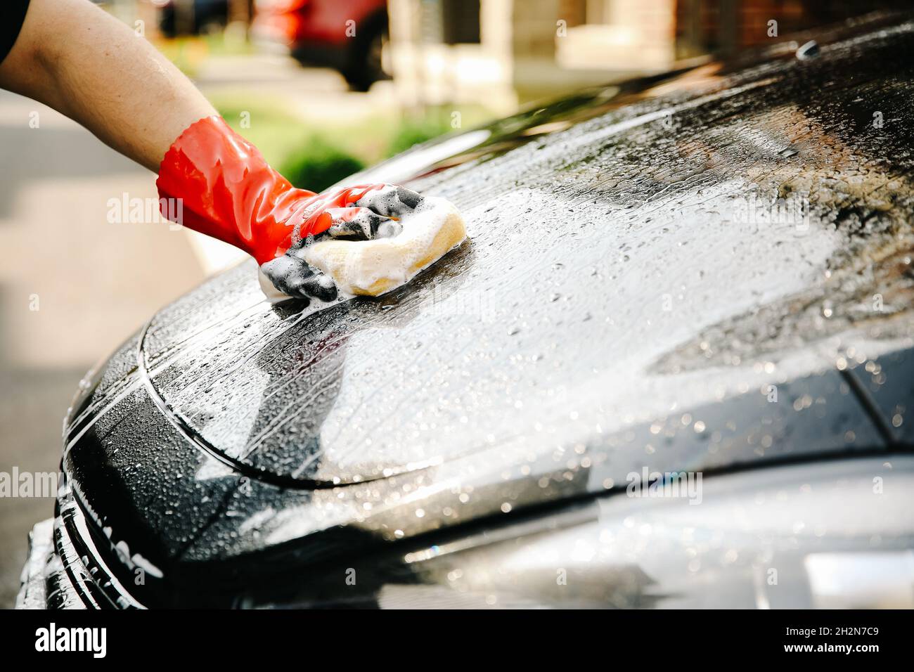 Male hand in red gloves holds sponge over black car for washing Stock ...