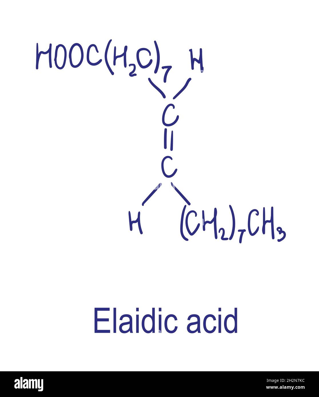 Elaidic acid chemical structure. Vector illustration Hand drawn Stock ...