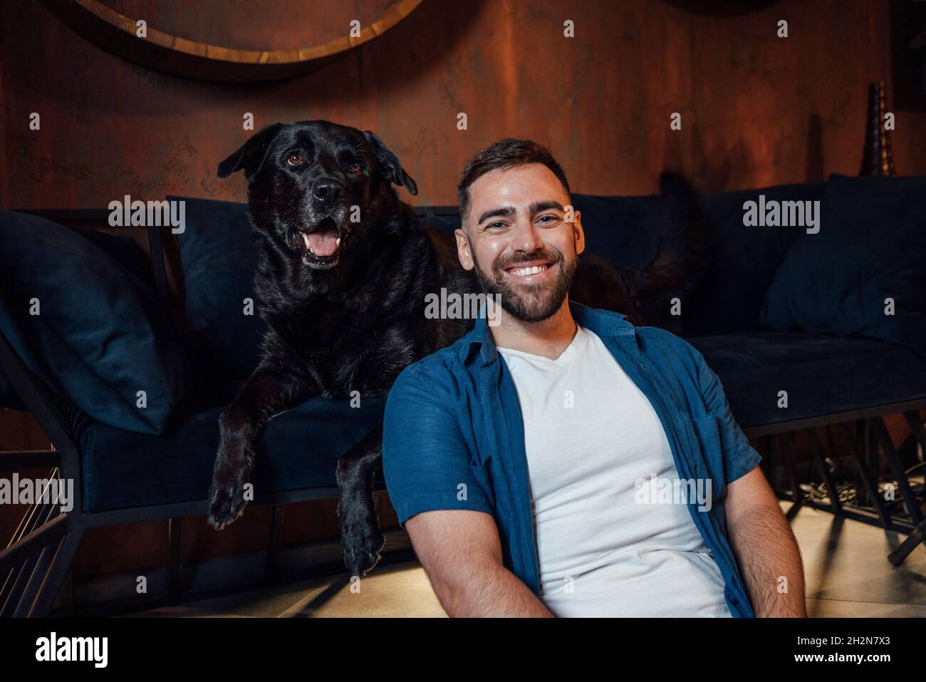 Handsome dog hi-res stock photography and images - Alamy