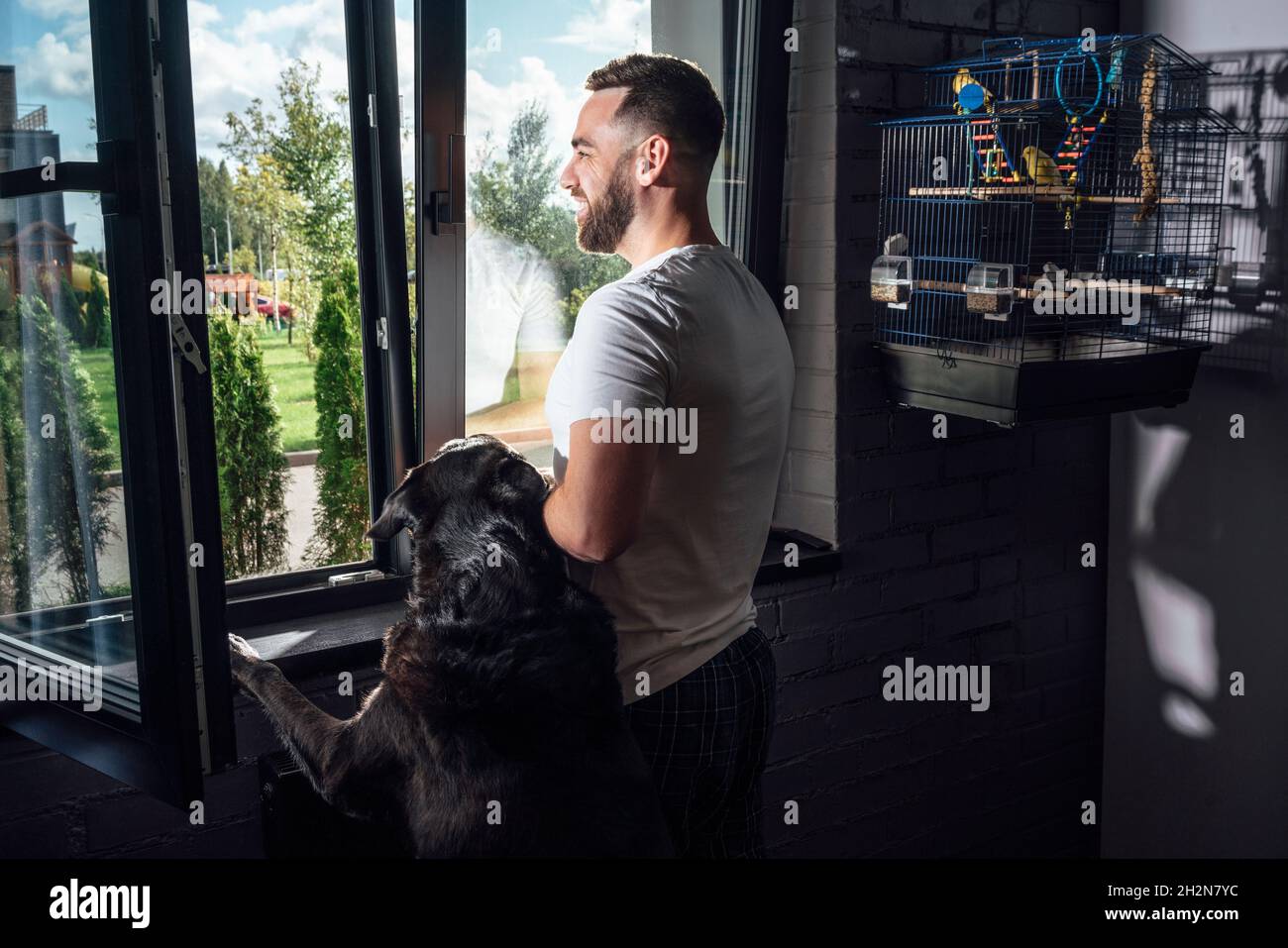 Smiling man looking through window by dog in bedroom Stock Photo - Alamy
