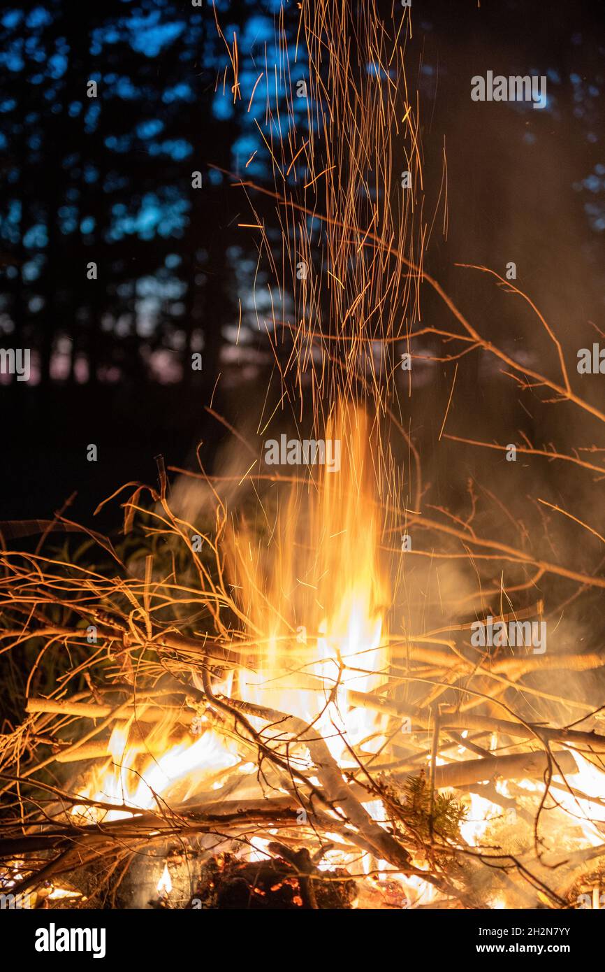 Close up shot of a fire flame of a wood burning in the dark, night ...