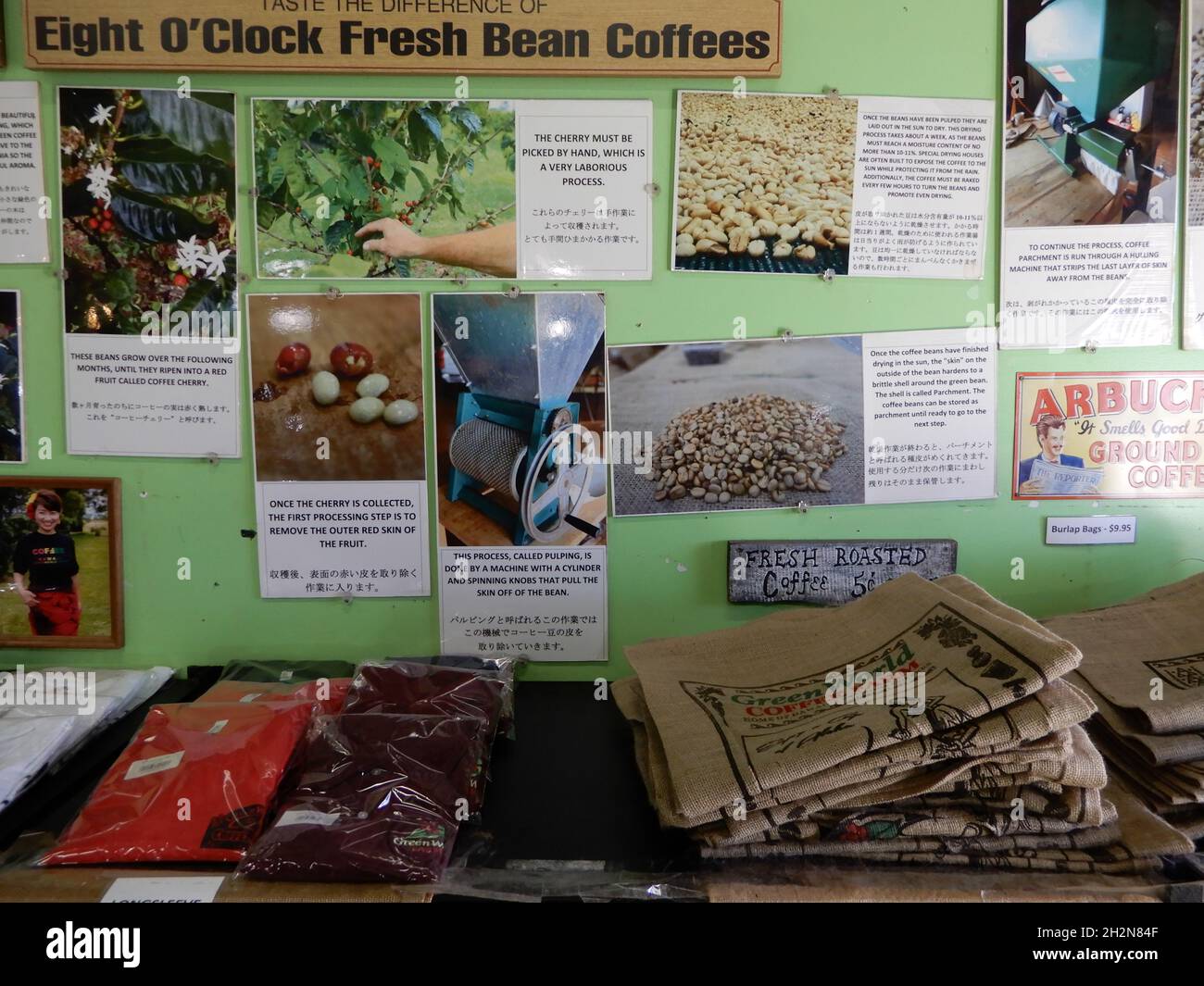 Oahu, HI. U.S.A. 6/2/2021. Greene World Coffee Farm. Greene Farm is a ...