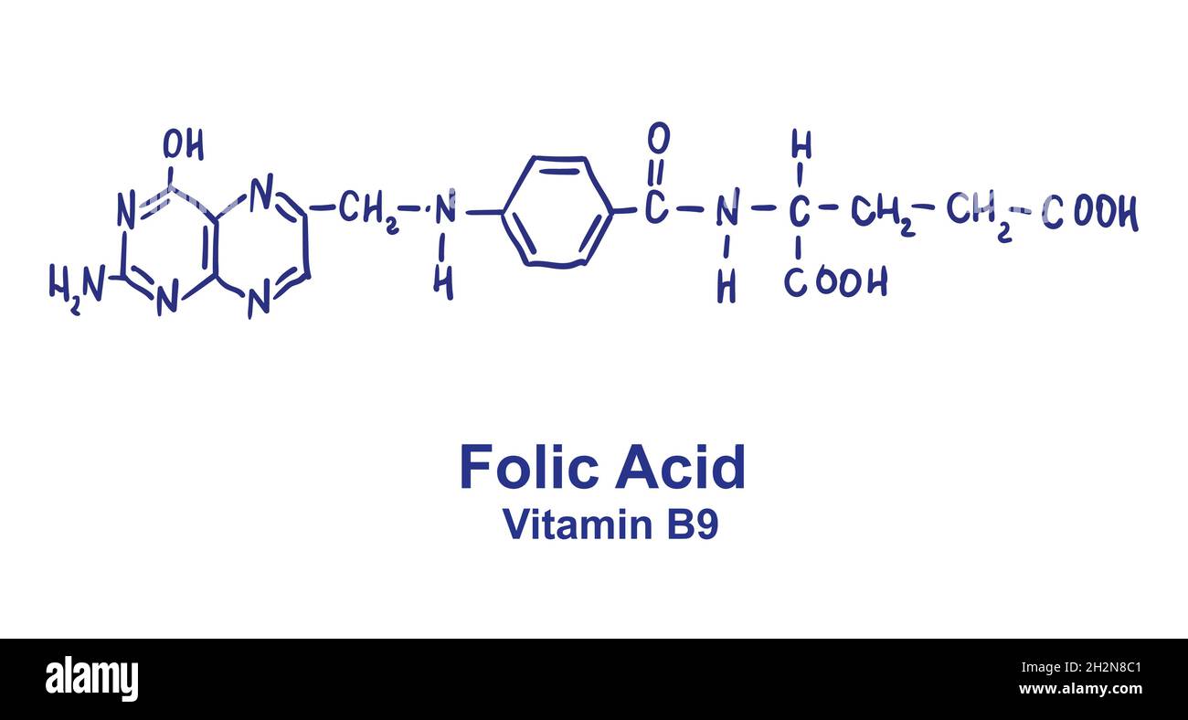 Folic acid chemical structure. Vector illustration Hand drawn Stock ...