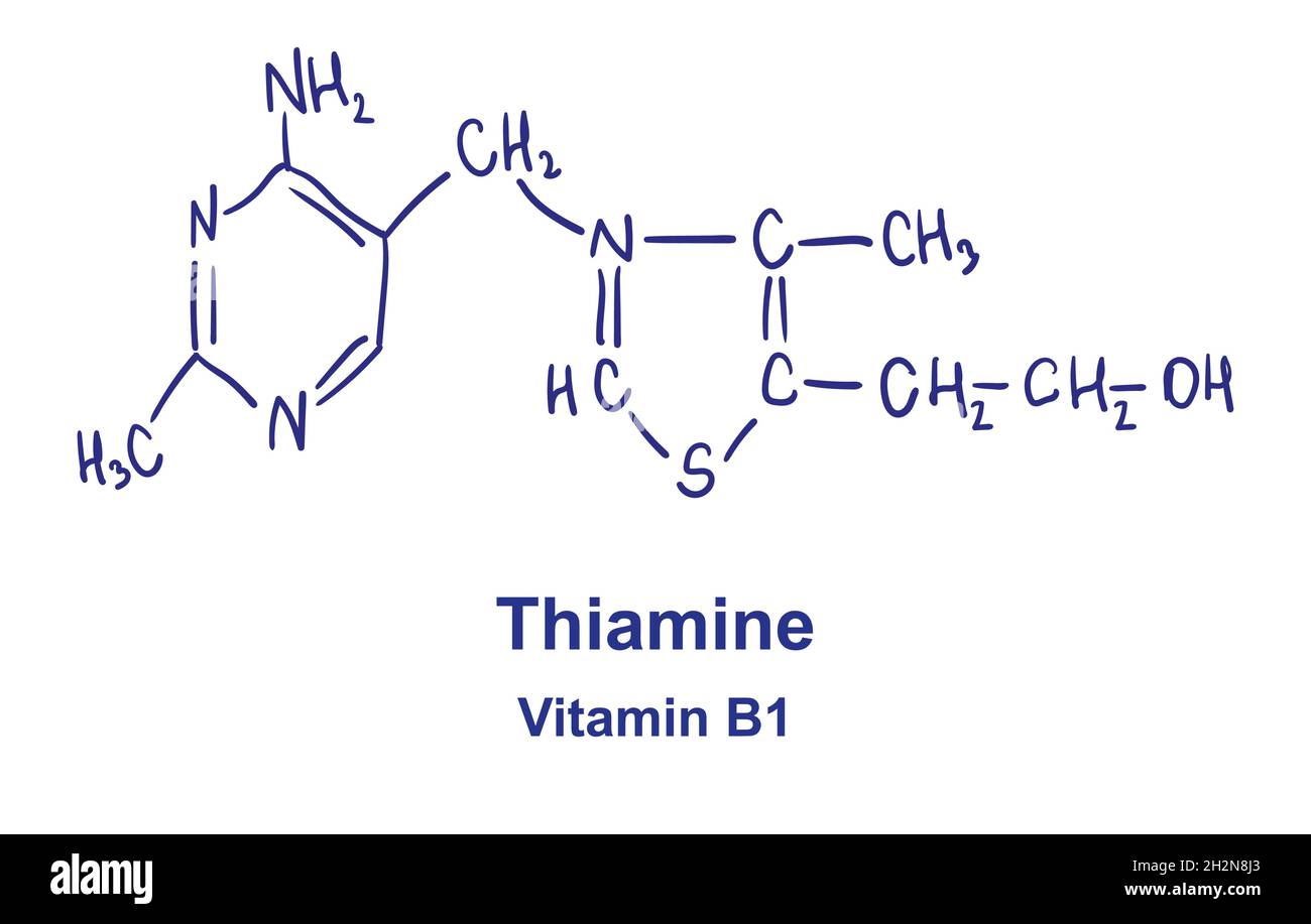 Thiamine Chemical Structure Vector Illustration Hand Drawn Stock Vector Image And Art Alamy