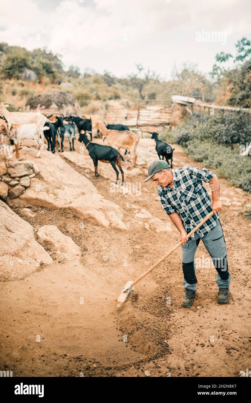 Goat herder hi-res stock photography and images - Alamy