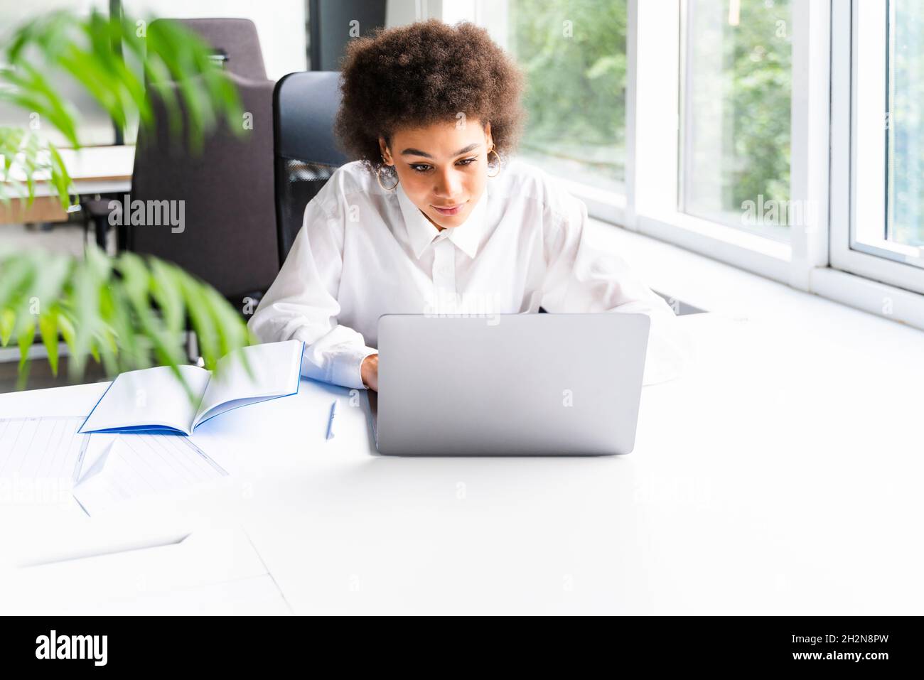Professional business women working office hi-res stock photography and ...