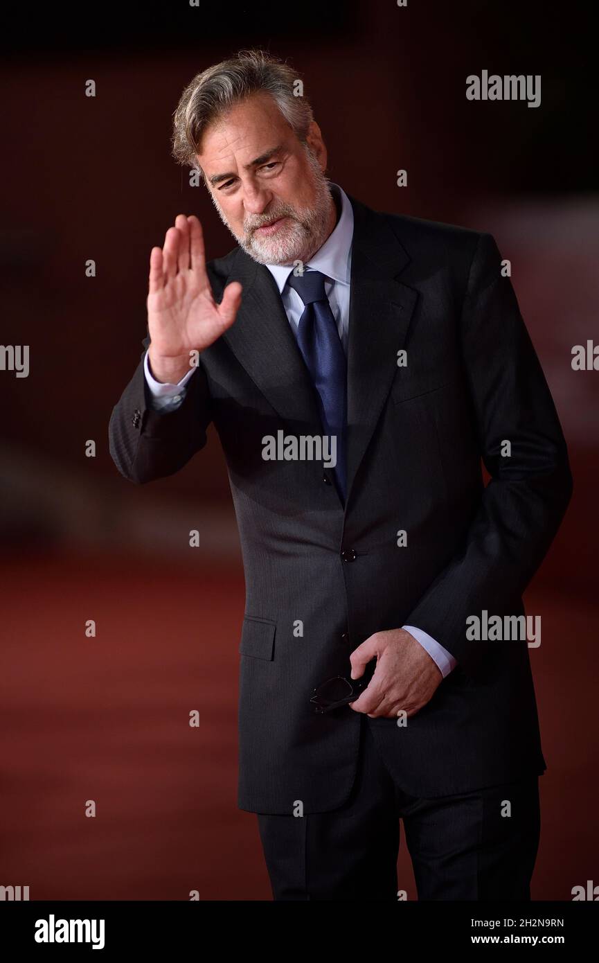 Max tortora hi-res stock photography and images - Alamy