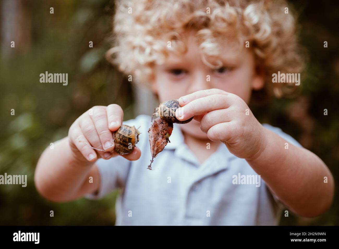 Curious boy holding snails in forest Stock Photo - Alamy