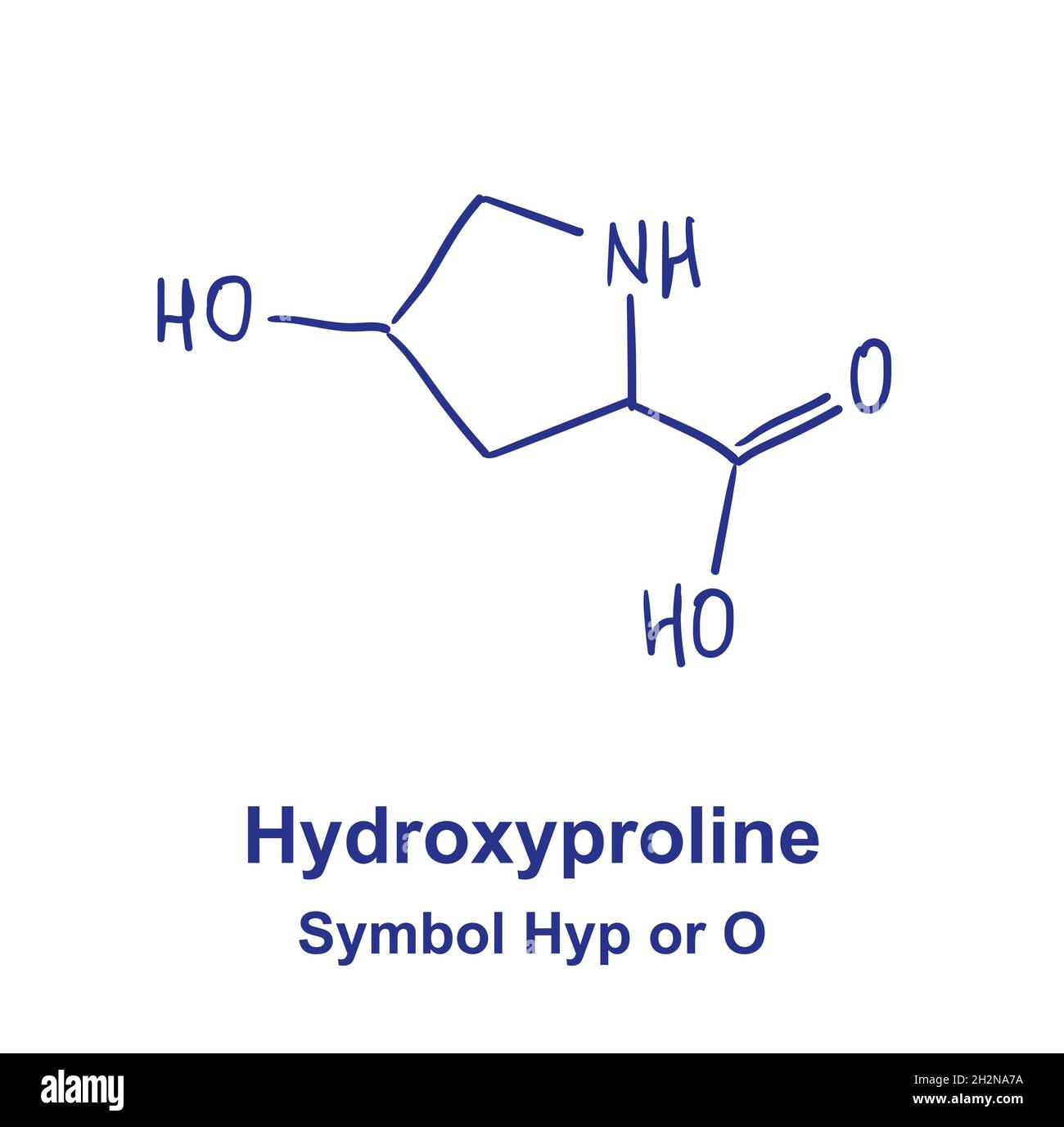 Hydroxyproline chemical structure. Vector illustration Hand drawn Stock ...