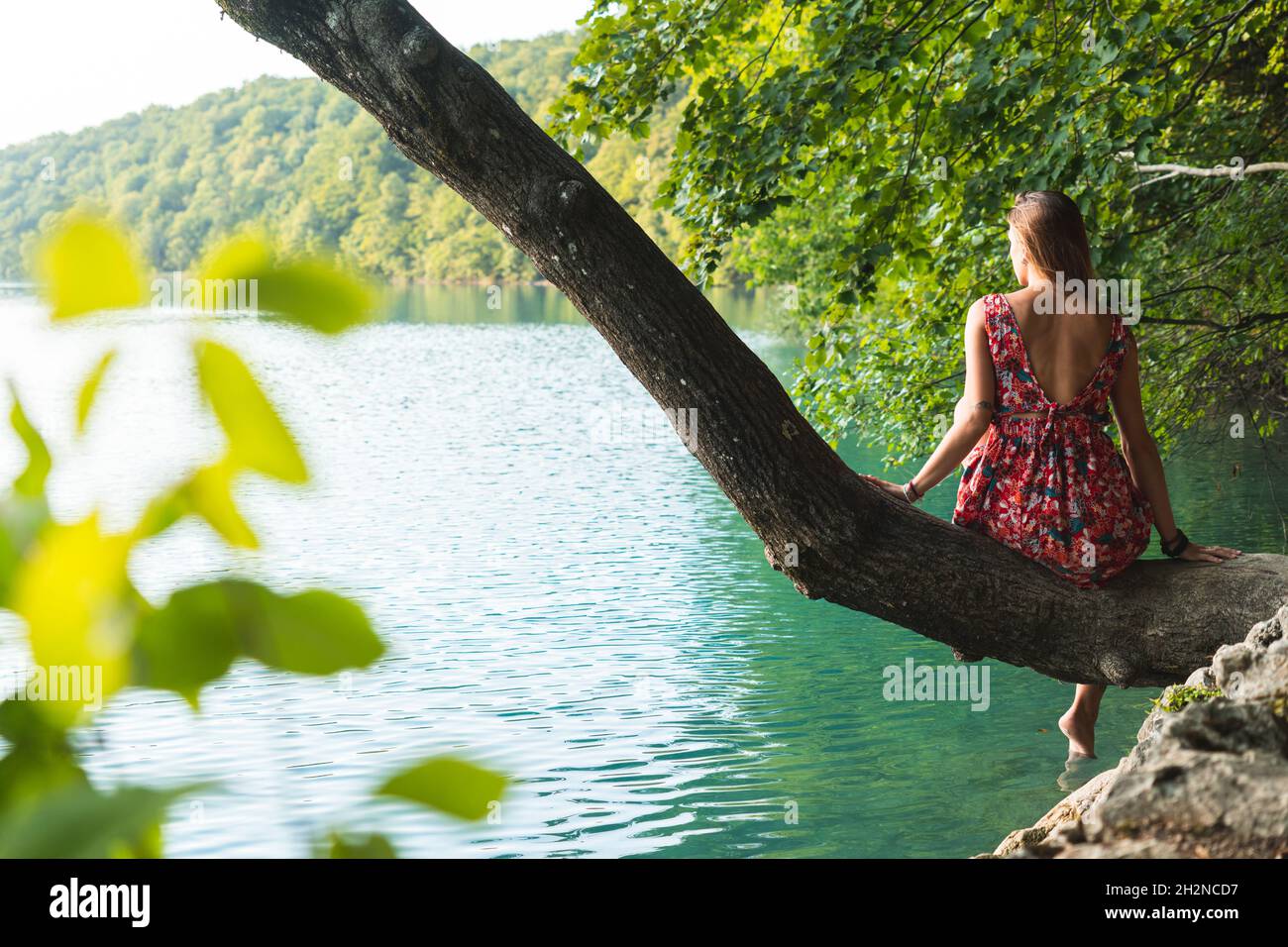 Young woman sitting on tree growing on lakeshore in Plitvice Lakes ...