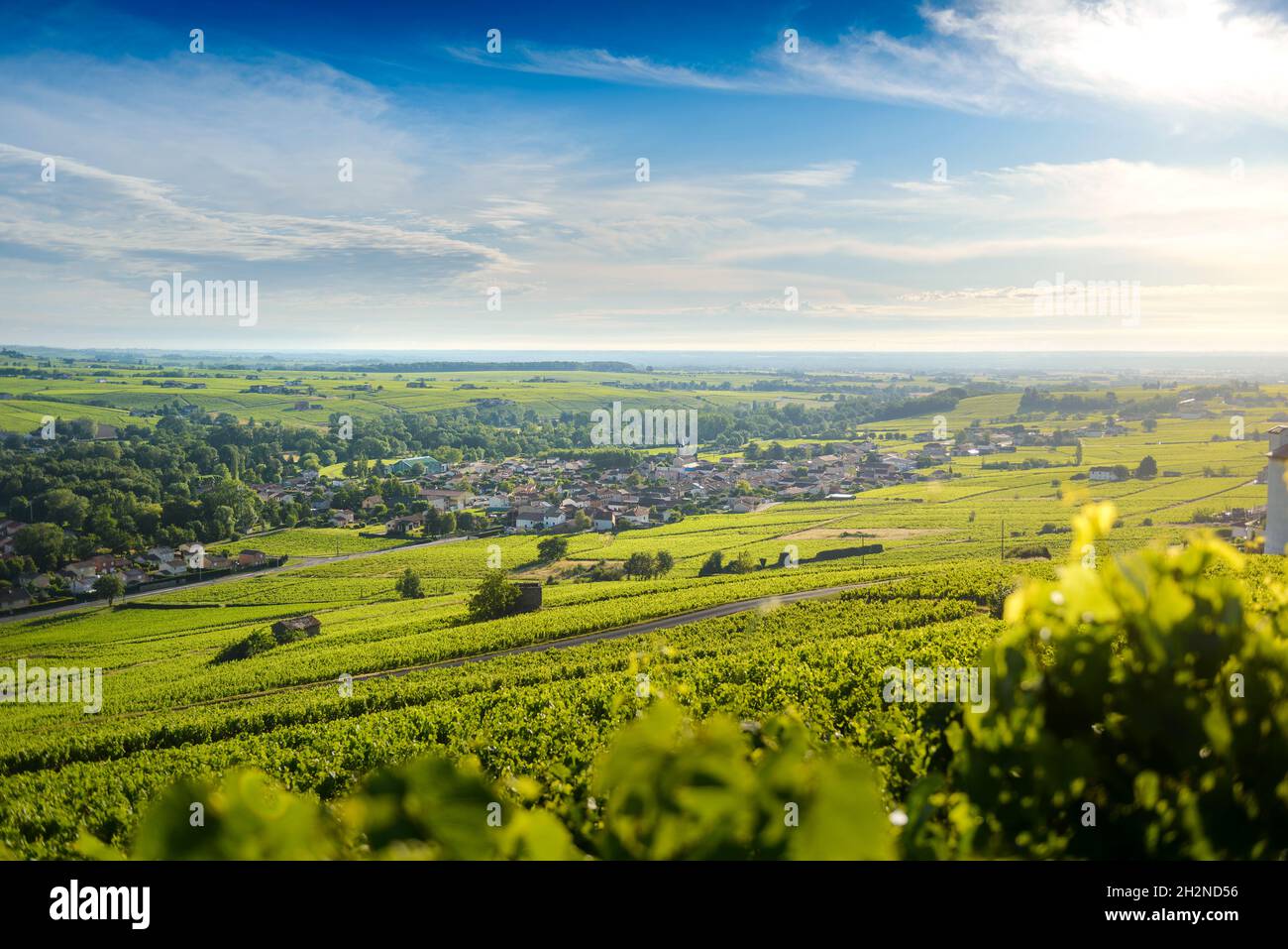 Le cercie hi-res stock photography and images - Alamy