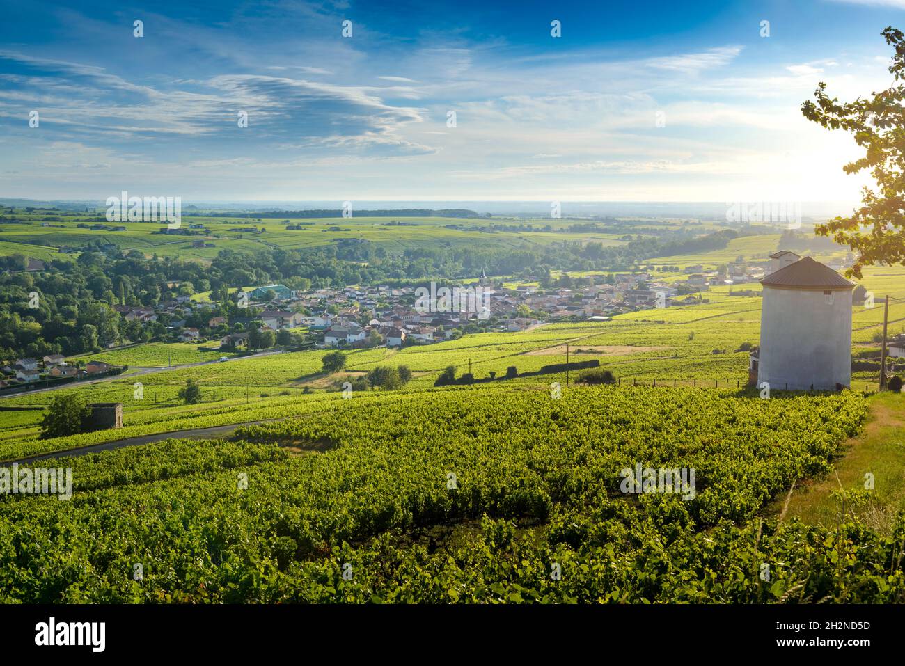 Le cercie hi-res stock photography and images - Alamy