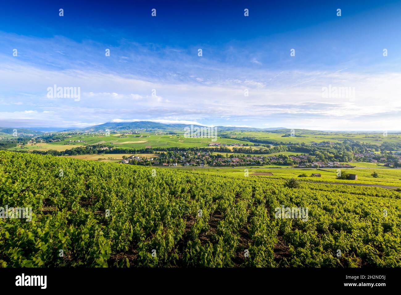Colline de brouilly hi-res stock photography and images - Alamy