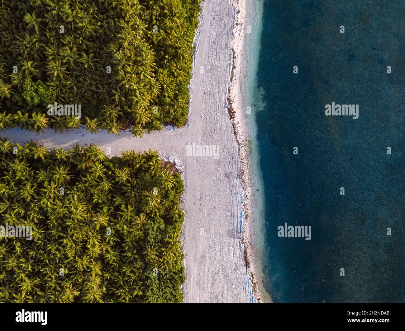 Maldives, Meemu Atoll, Veyvah, Aerial view of palm trees and sandy ...