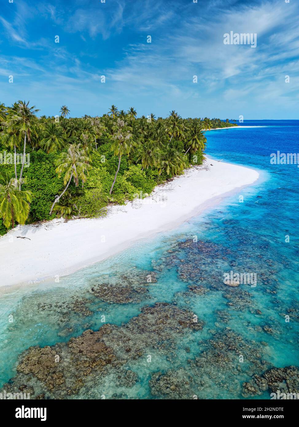 Maldives, Kolhumadulu Atoll, Aerial view of forested coastline of ...