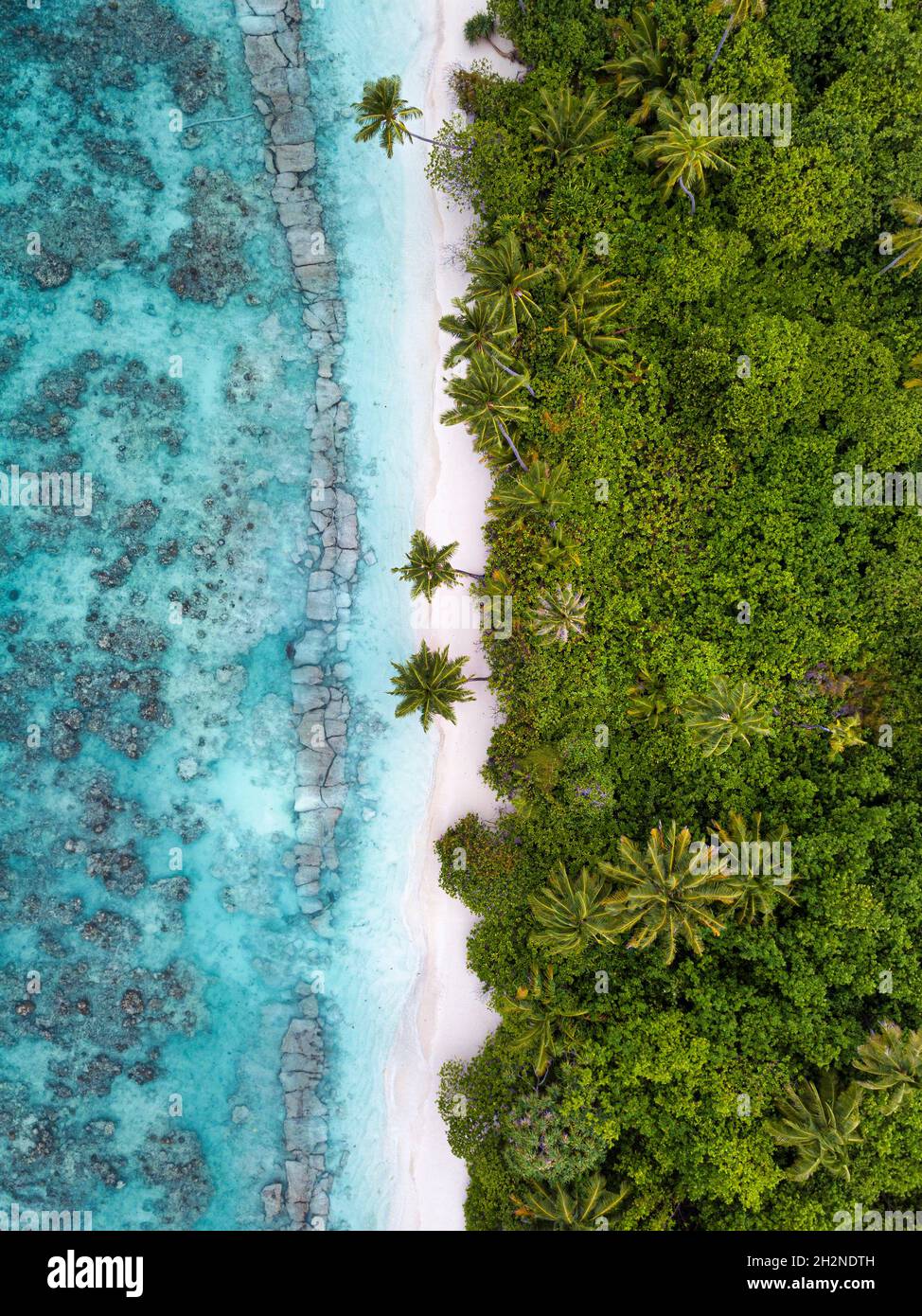 Aerial view forested coastline kanimeedhoo island hi-res stock ...