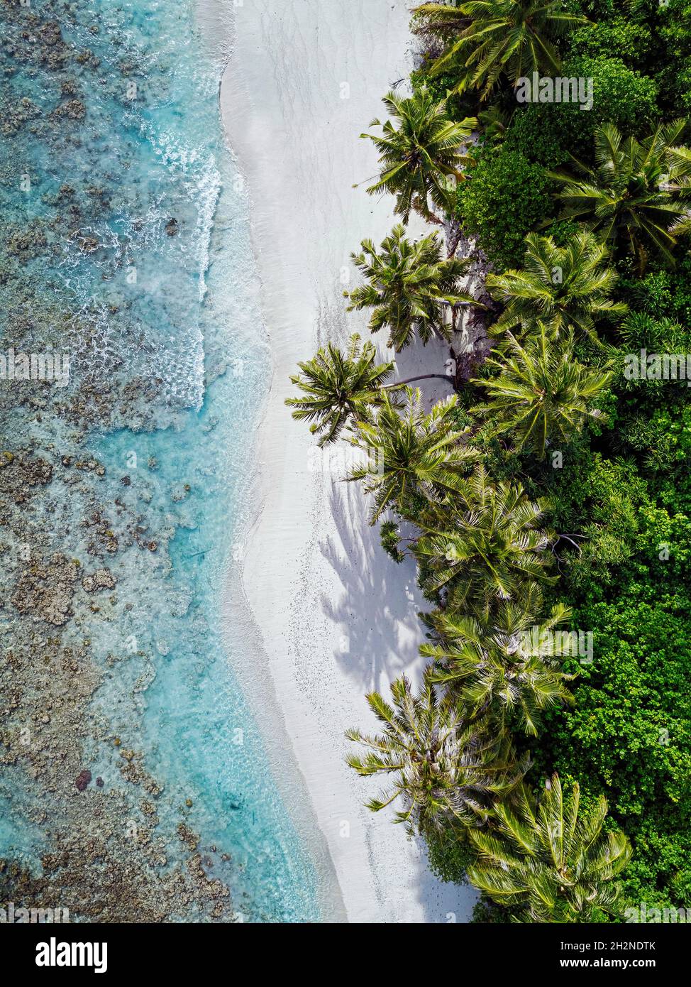 Aerial view forested coastline kanimeedhoo island hi-res stock ...