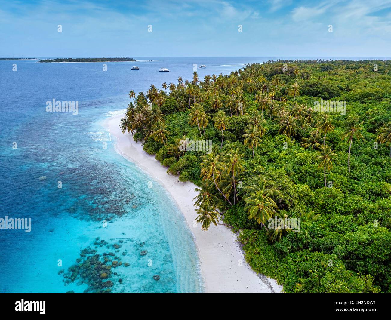 Maldives, Kolhumadulu Atoll, Aerial view of forested coastline of ...