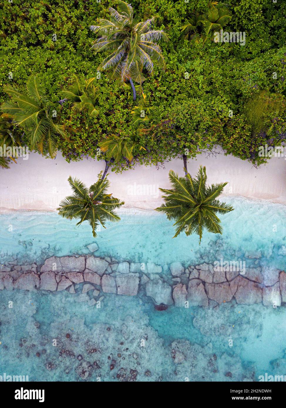 Aerial view forested coastline kanimeedhoo island hi-res stock ...