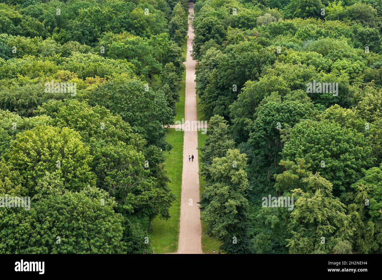 Germany, Berlin, Aerial view of footpath stretching across Tiergarten ...