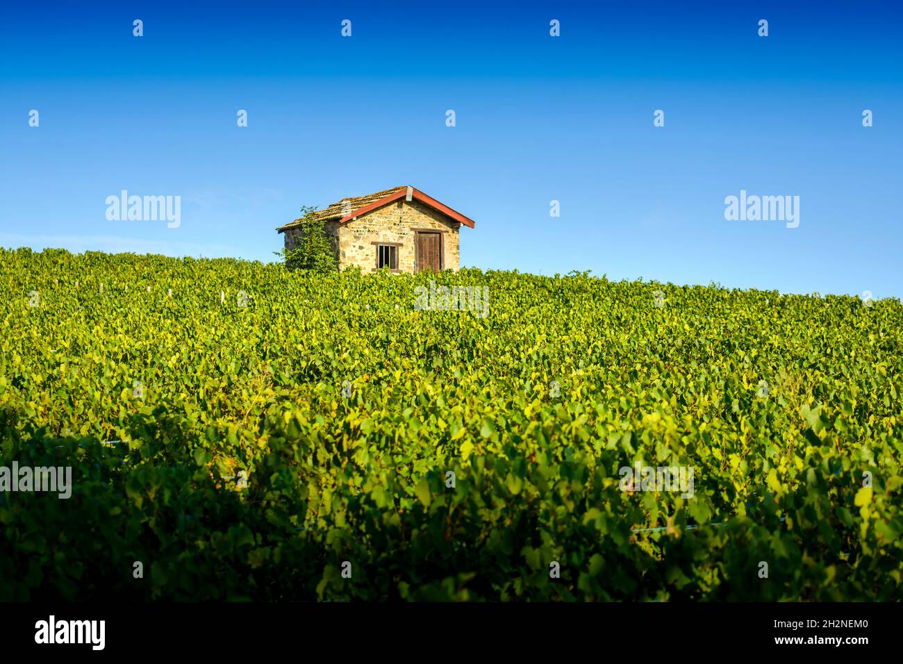 Cabane historique hi-res stock photography and images - Alamy