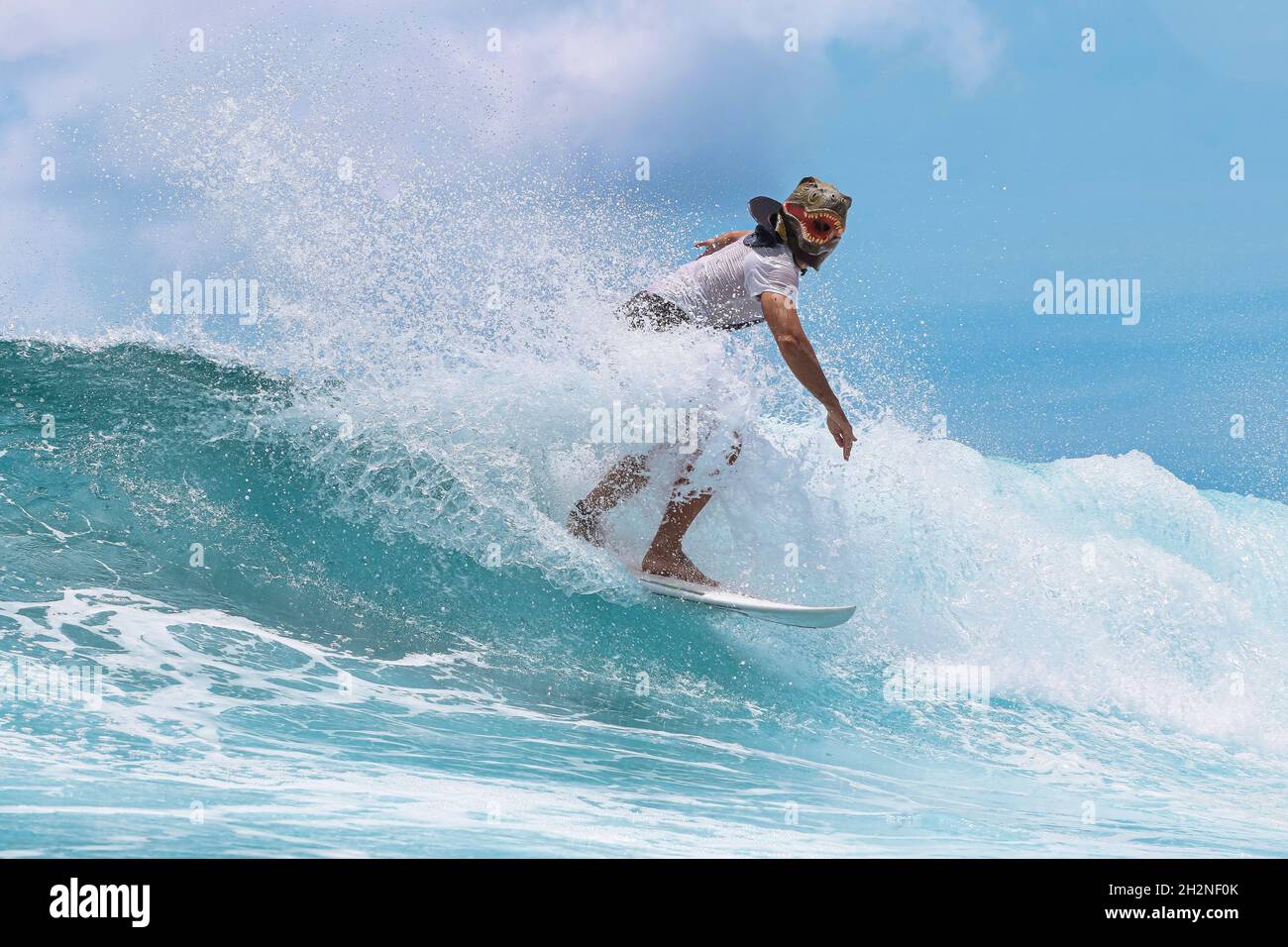 Man wearing dinosaur mask surfing with surfboard in sea Stock Photo - Alamy